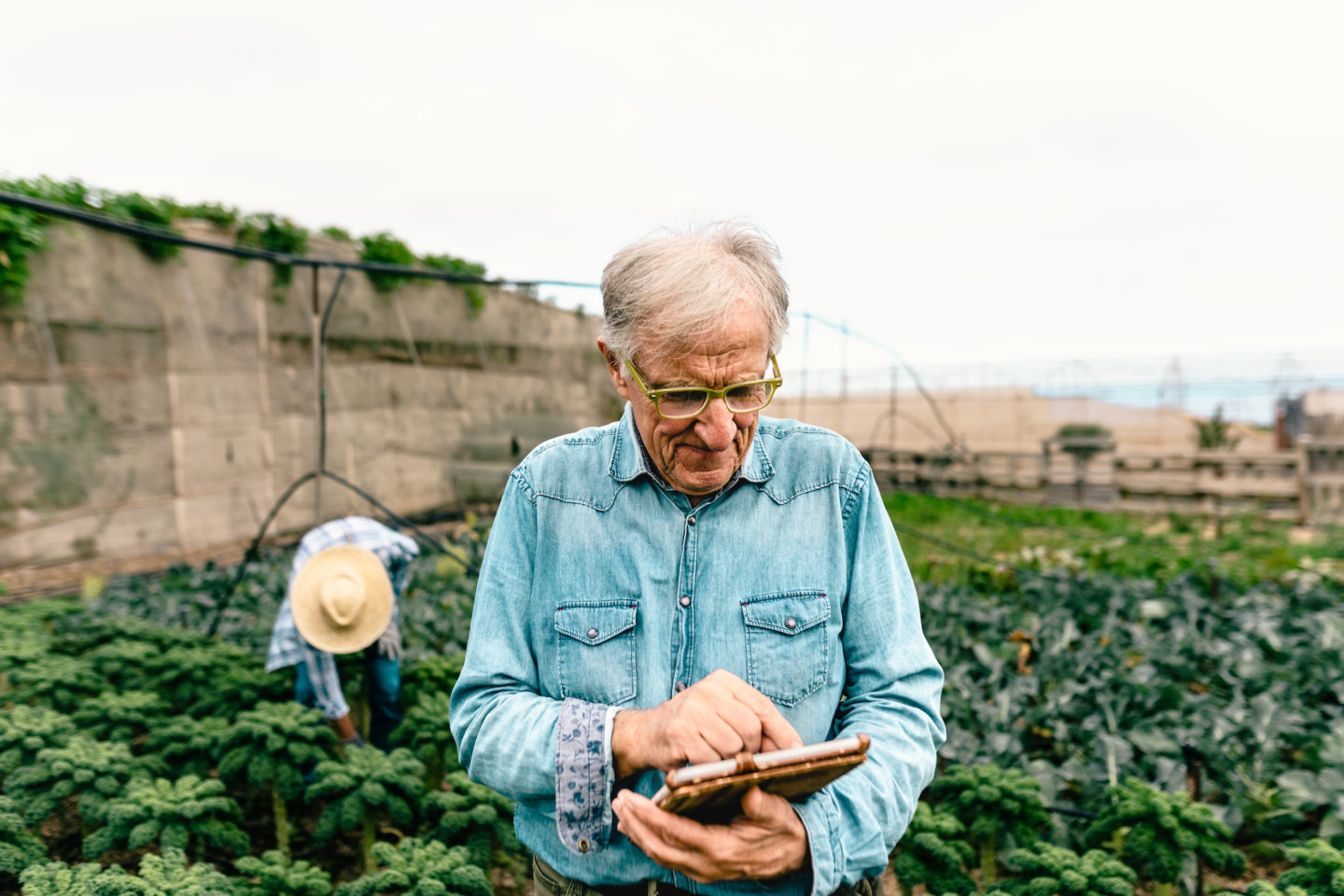 What is the Future of Food System Sustainability in Canada?