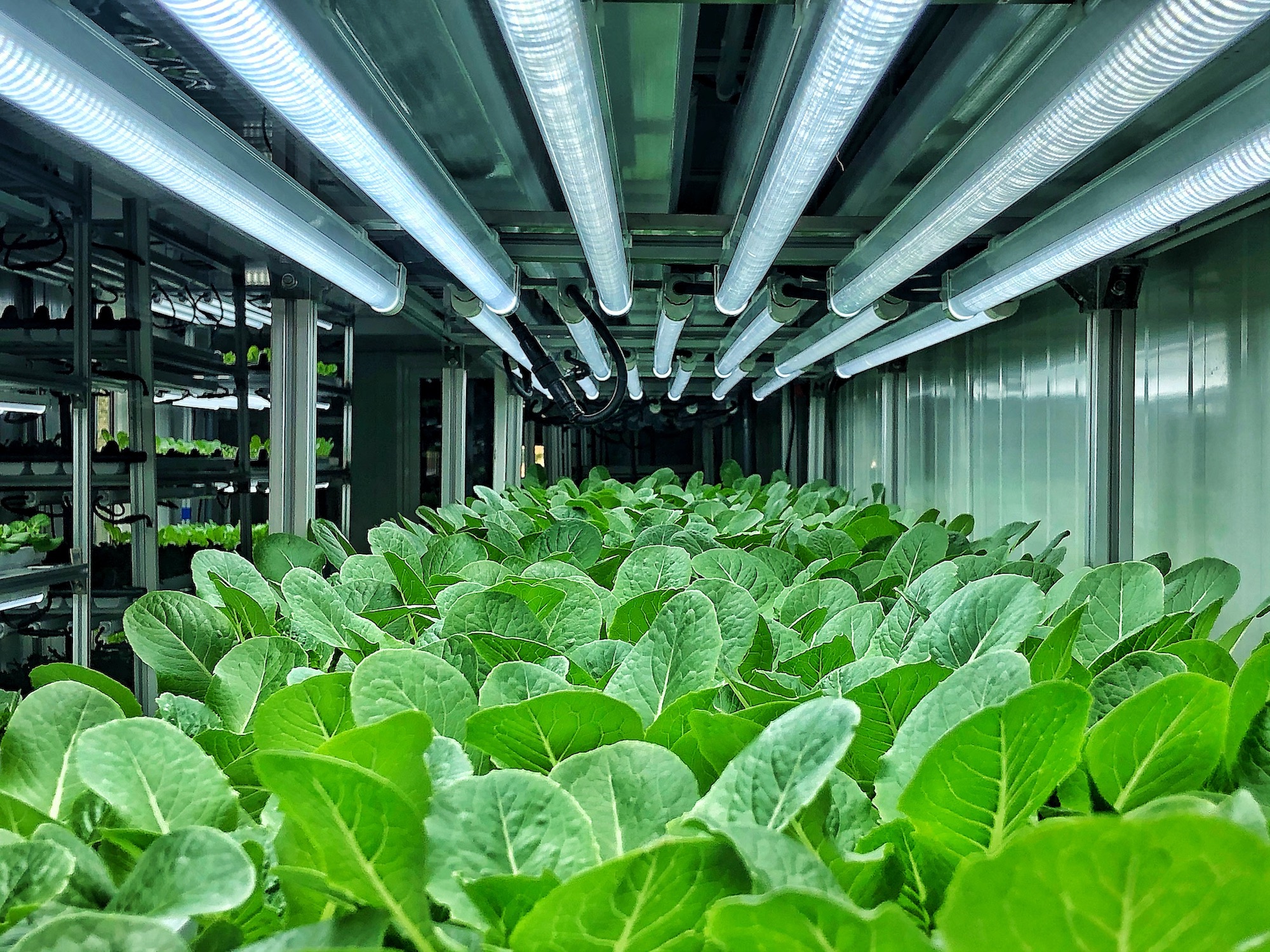 What is the Future of Food System Sustainability in Canada?
