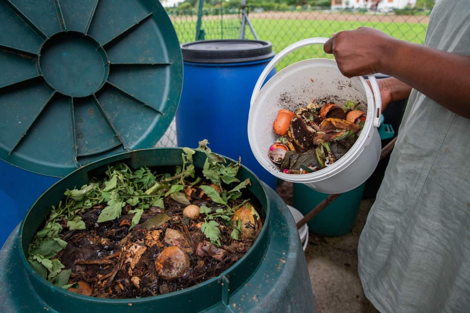 The Future of Food Waste: What Canada Must Do Now | TheFutureEconomy.ca
