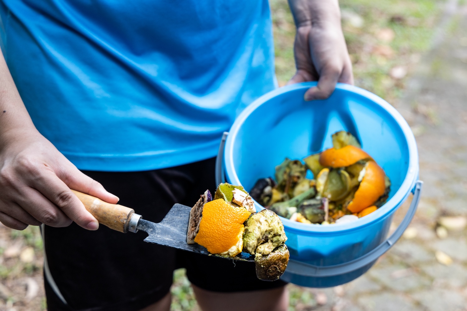 The Future of Food Waste: What Canada Must Do Now | TheFutureEconomy.ca
